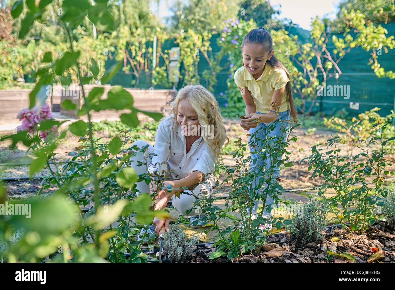 Girl watching woman tending flowers in garden Stock Photo - Alamy