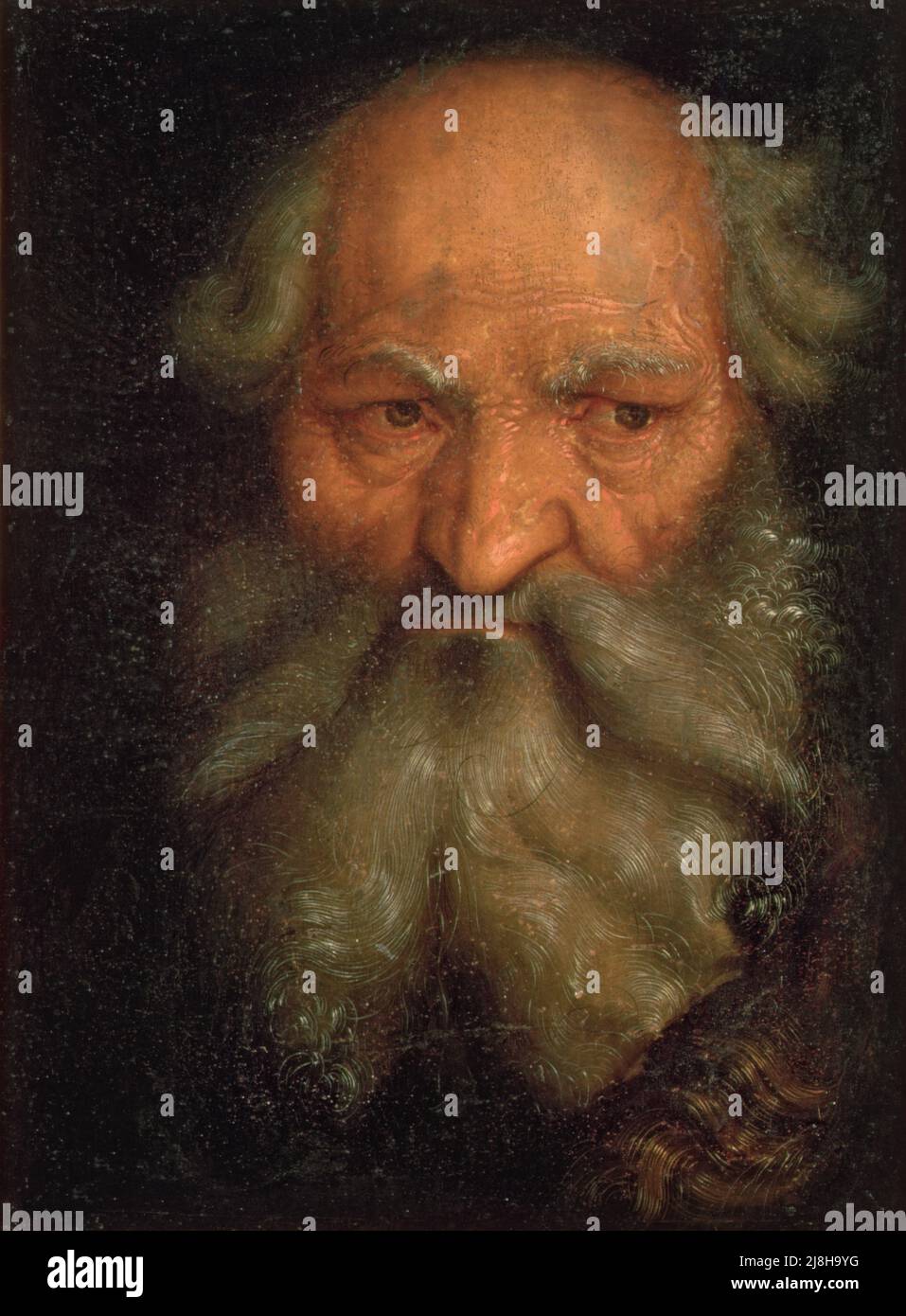 Head of an Old Man by Baldung Grien, Hans (1484/5-1545); Galleria e ...