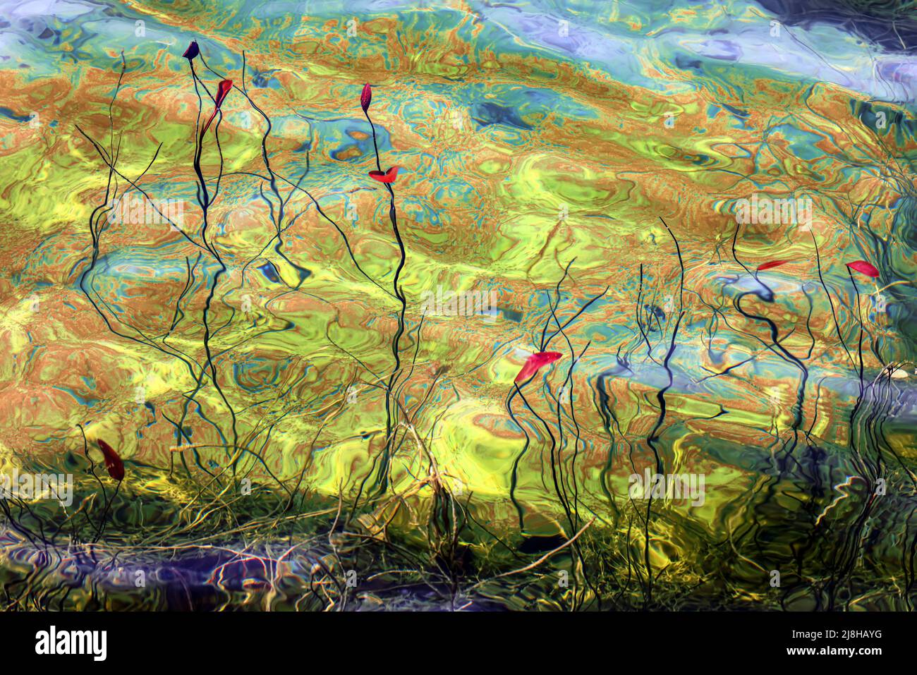 Wave distortions hi-res stock photography and images - Alamy