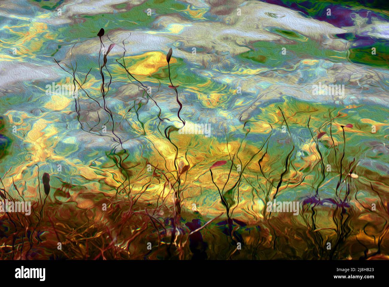 Distortions hi-res stock photography and images - Alamy