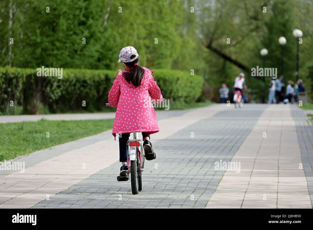 Kid girl riding on a bicycle on a path in a green park. Child cyclist ...