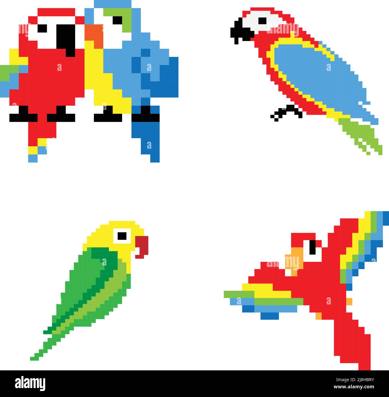 Parrot square Stock Vector Images - Alamy