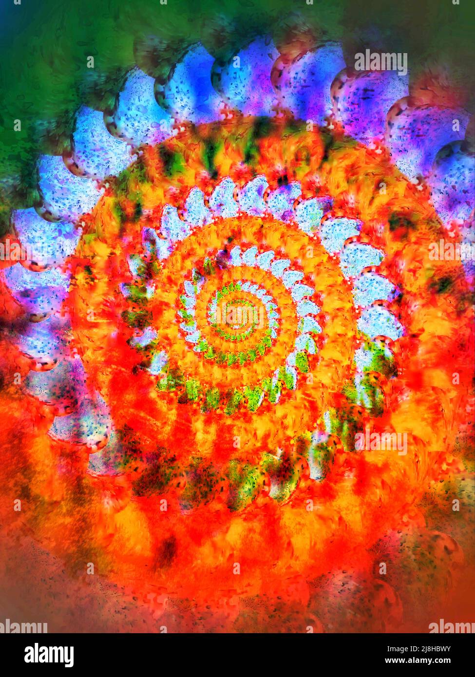 Round spiral vector hi-res stock photography and images - Alamy