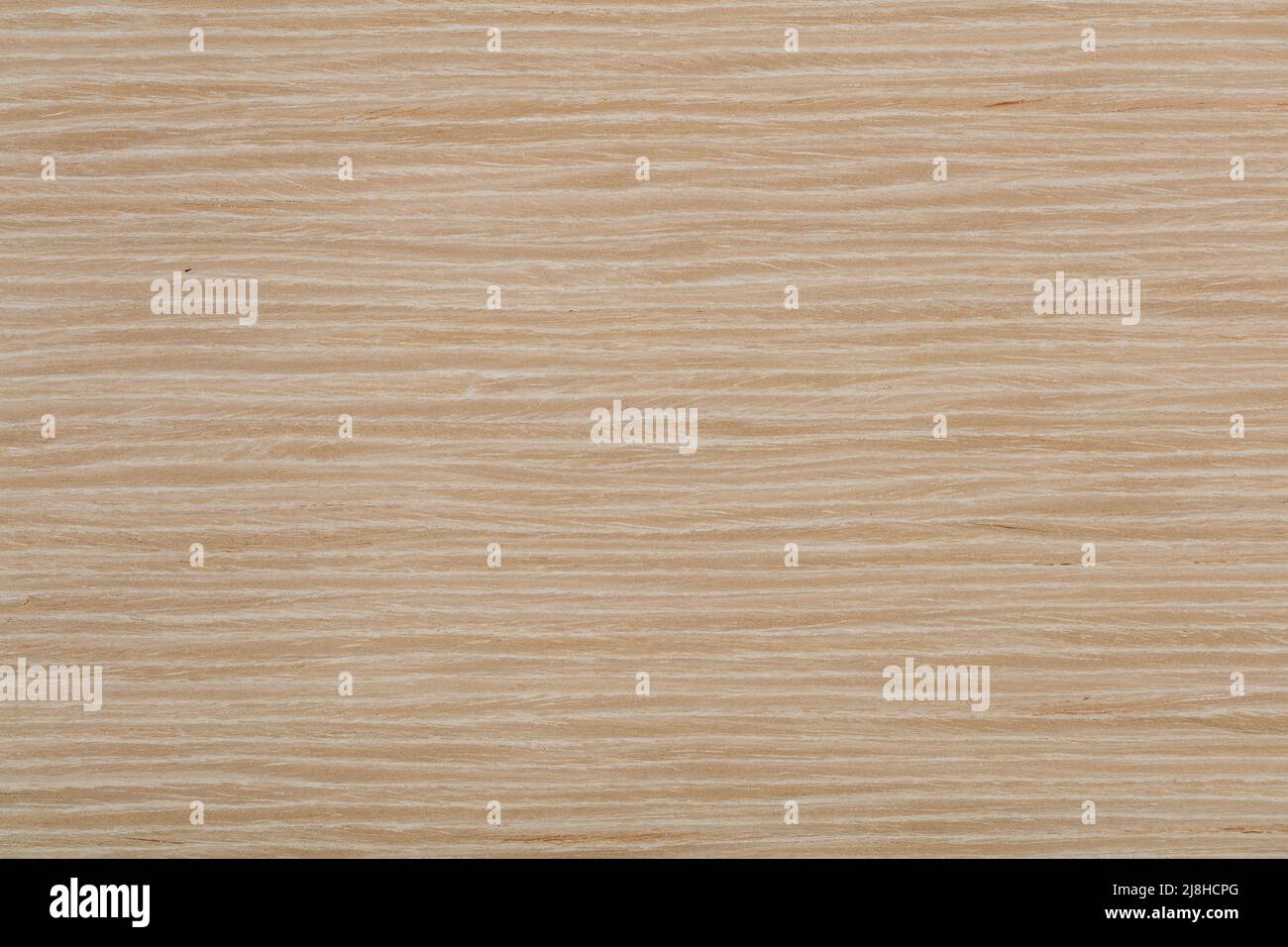 Elegant natural oak veneer background in light beige color Stock Photo ...