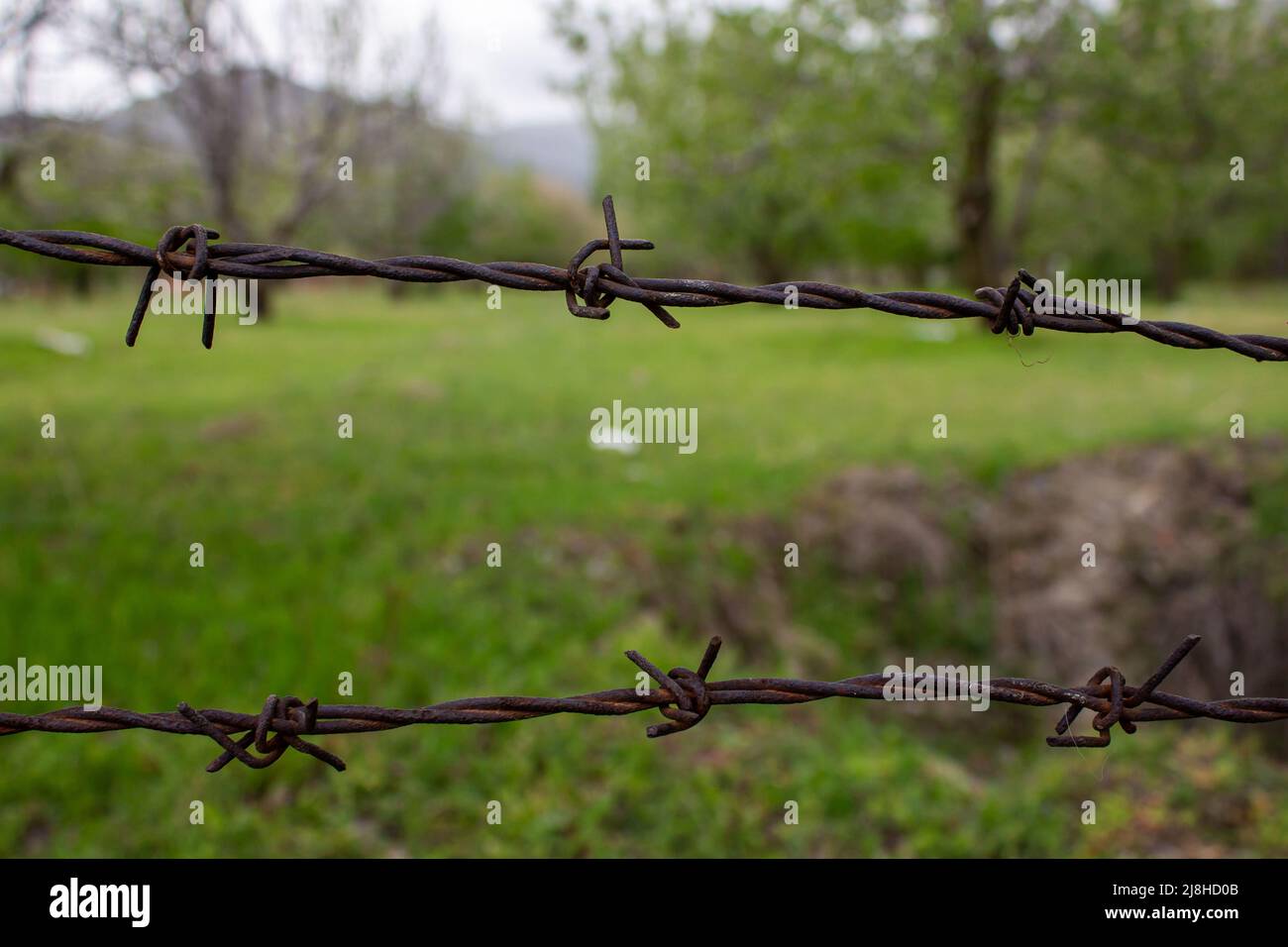 Orchard boundary hi-res stock photography and images - Alamy