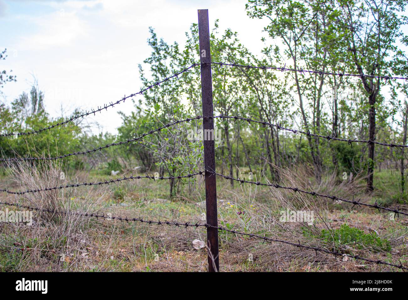 Wire mesh in the orchard. Rusty wire mesh, closeup Stock Photo - Alamy