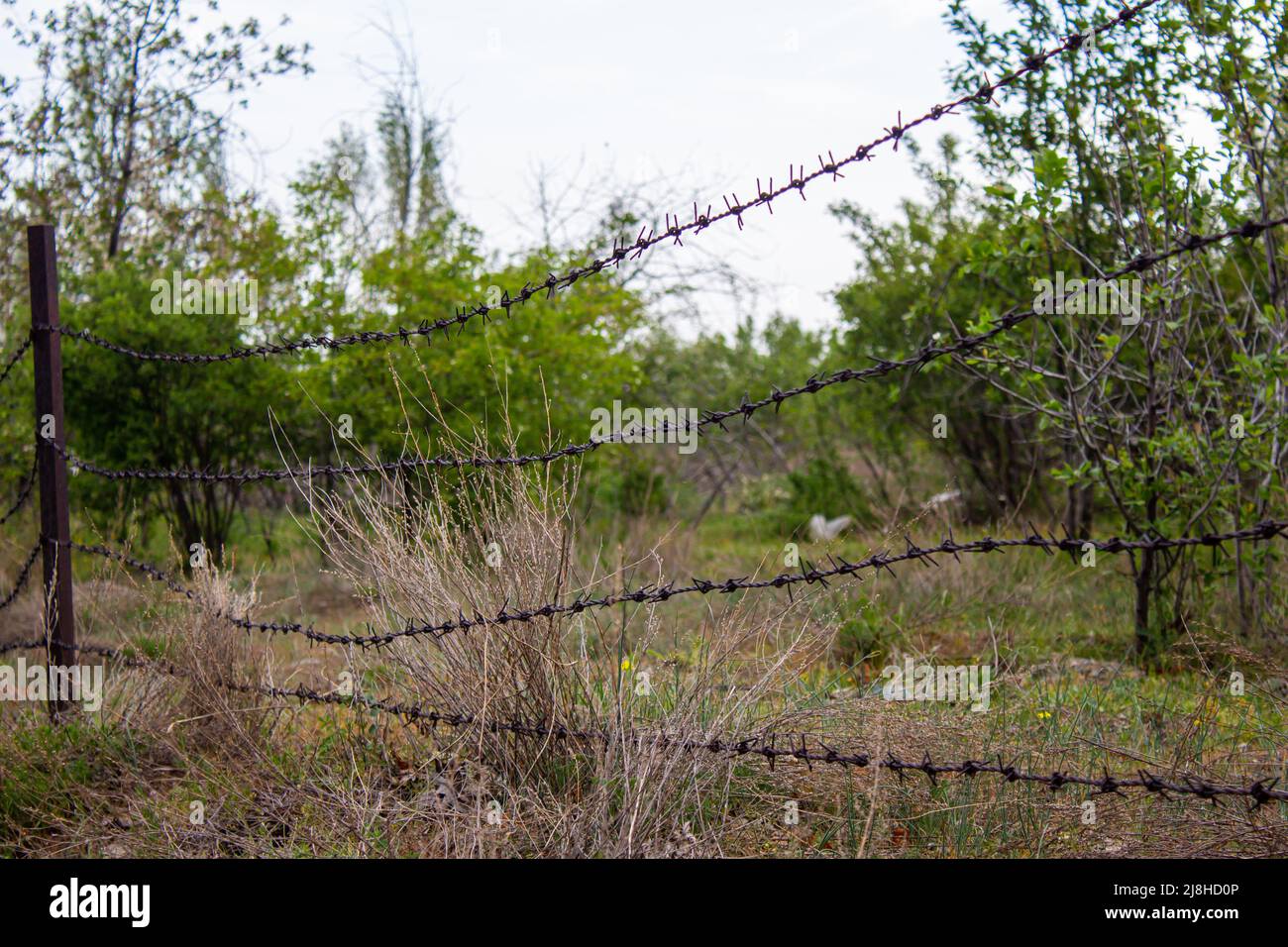 Wire mesh in the orchard. Rusty wire mesh, closeup Stock Photo - Alamy