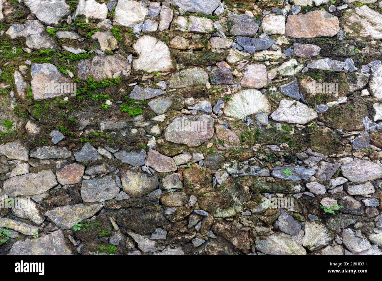Texture of different stones, background in natural colors Stock Photo ...