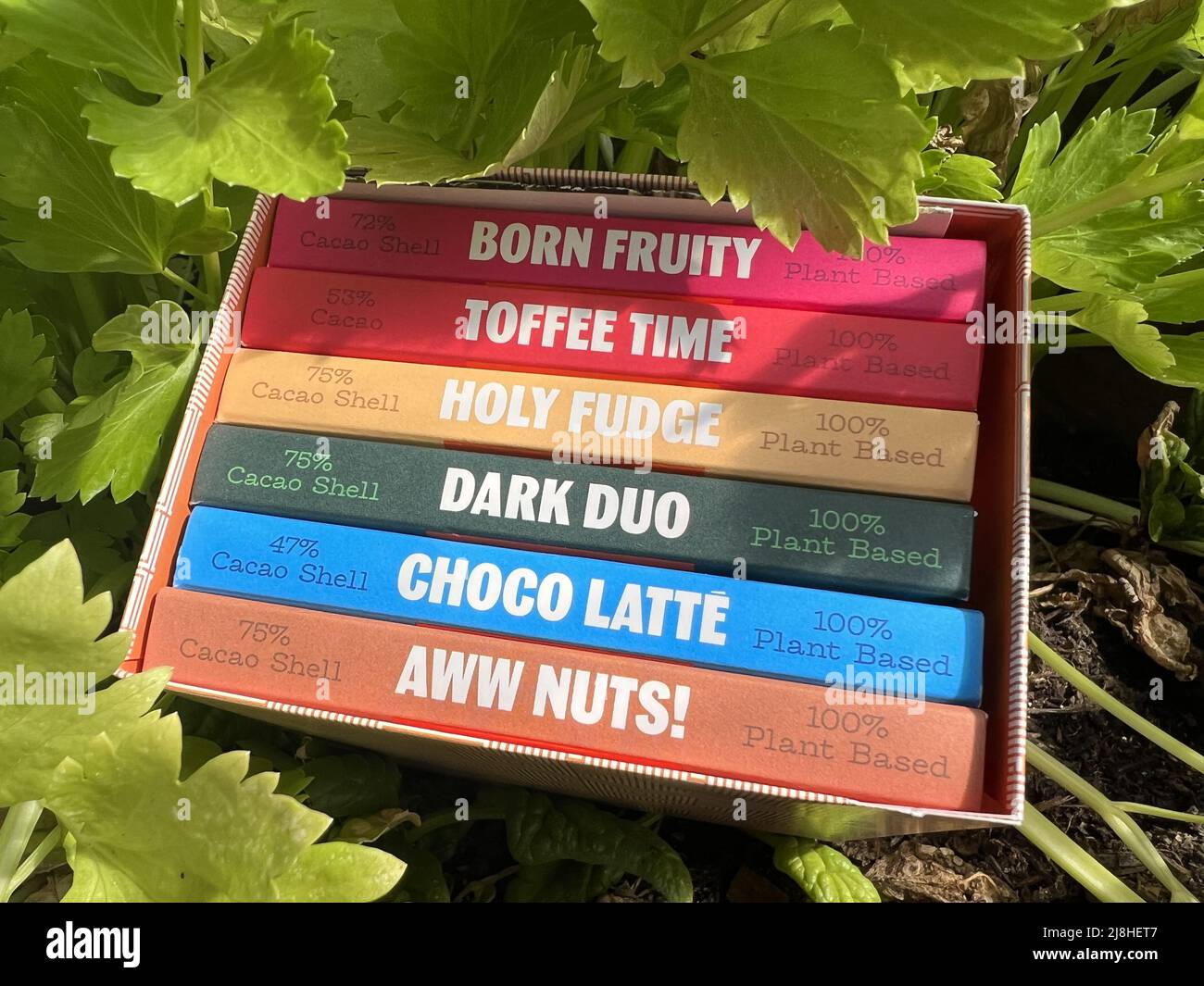 TCHO Plant-Based chocolate bars in a box in a garden setting, Lafayette, California, February 28 ...