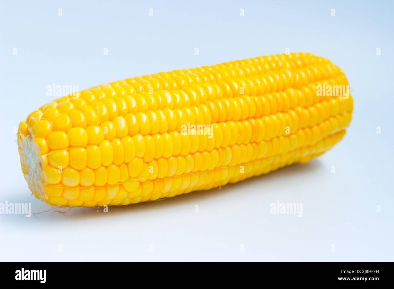 Sweet yellow corn isolated on white background Stock Photo - Alamy