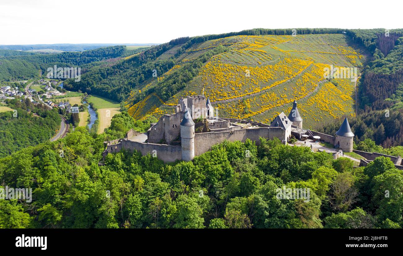 Castle Bourscheid, medieval castle complex at Bourscheid, Diekirch ...
