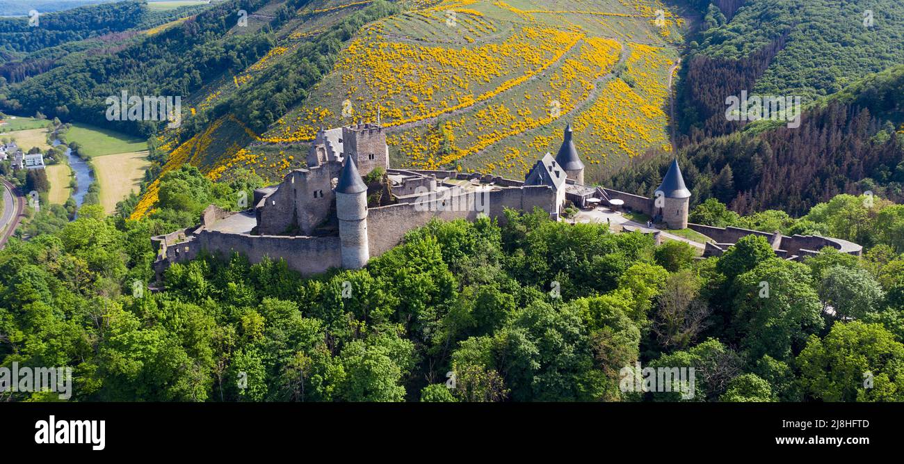 Castle Bourscheid, medieval castle complex at Bourscheid, Diekirch ...
