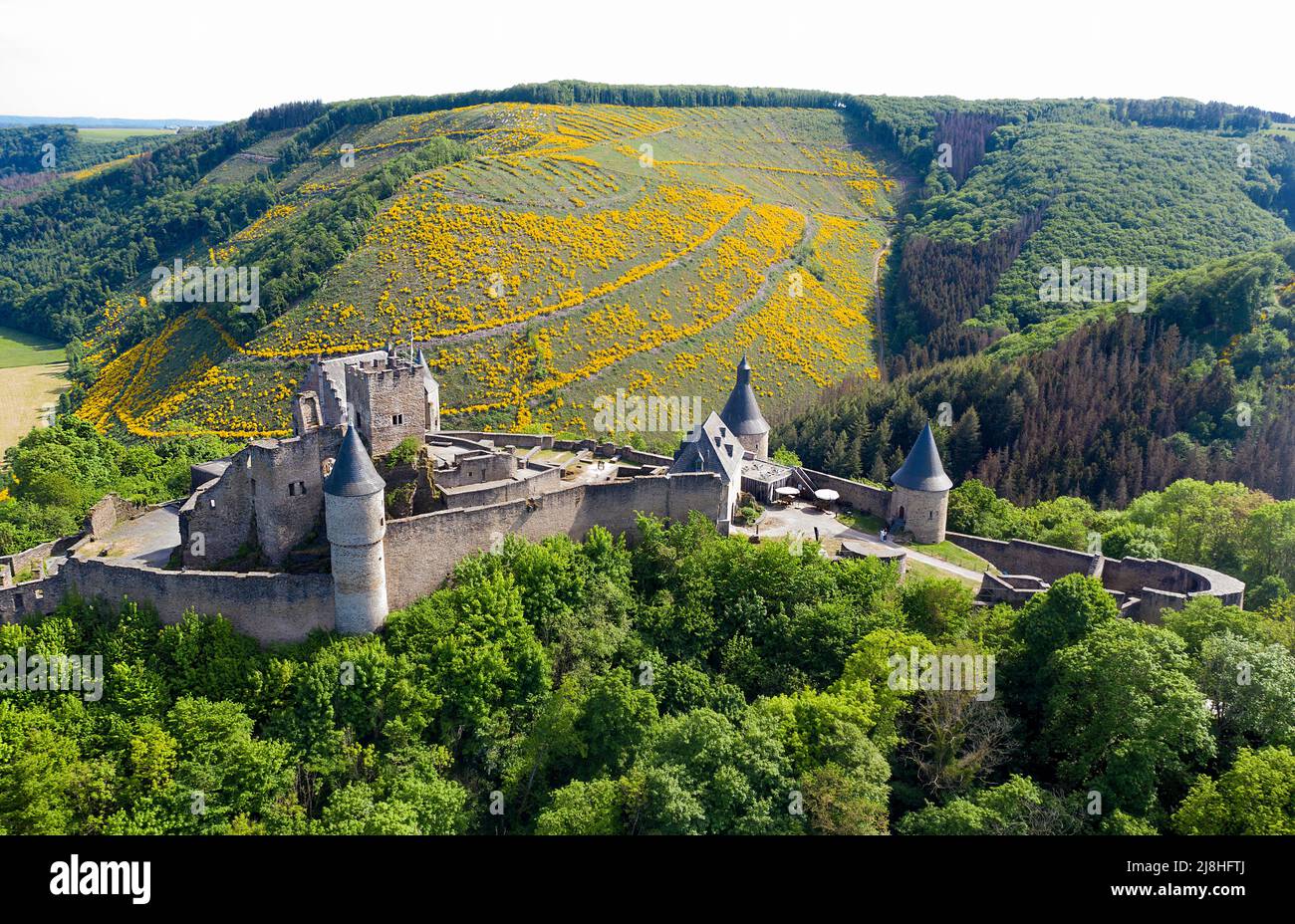 Castle Bourscheid, medieval castle complex at Bourscheid, Diekirch ...