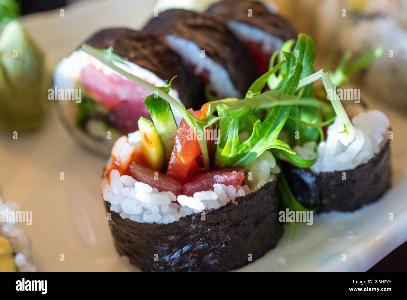 Northern blue tuna hi-res stock photography and images - Alamy