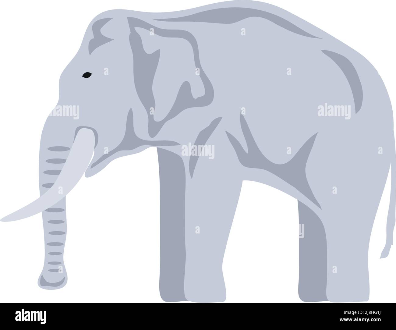 elephant animal icon Stock Vector Image & Art - Alamy
