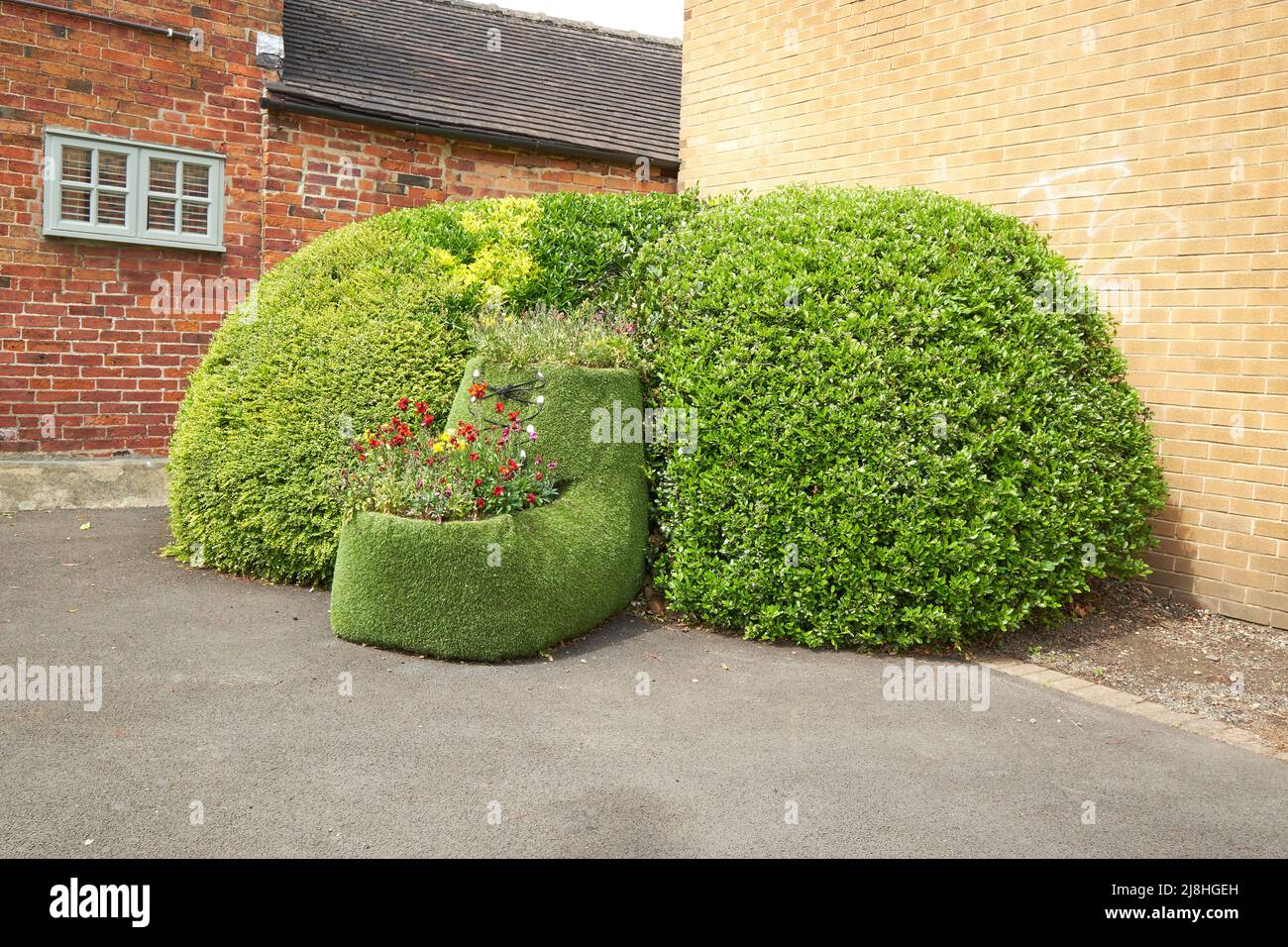 Trimmed and shaped topiary hedge example Stock Photo - Alamy
