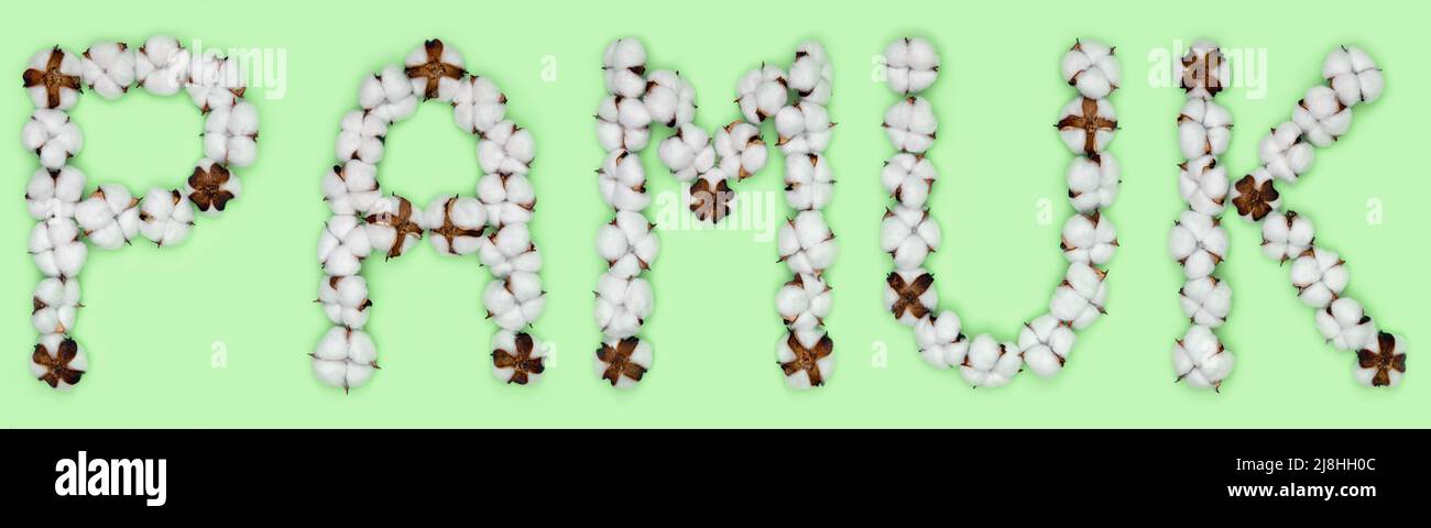 Word pamuk from Turkish language means cotton, made of cotton flowers ...