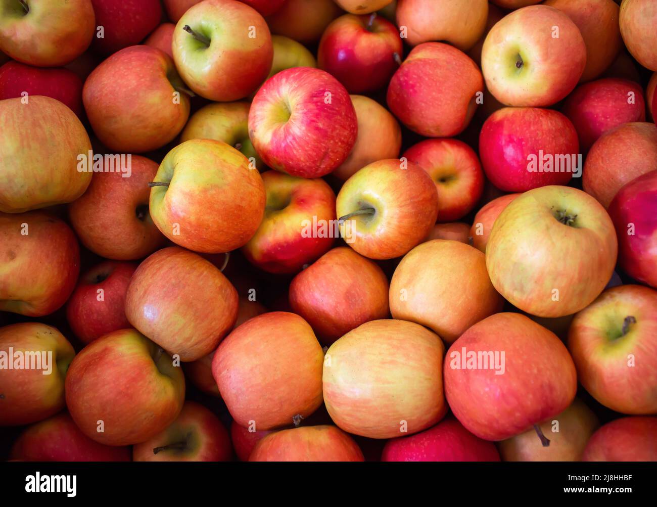 Full screen of red apples background. Many organic fresh apple in ...
