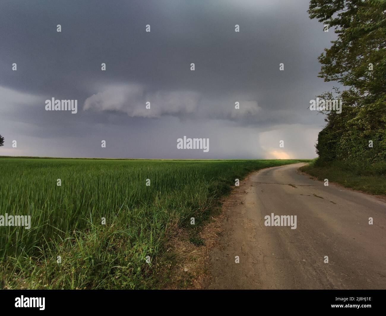 A beautiful storm cell on the horizon, with rain falling on a wheat ...