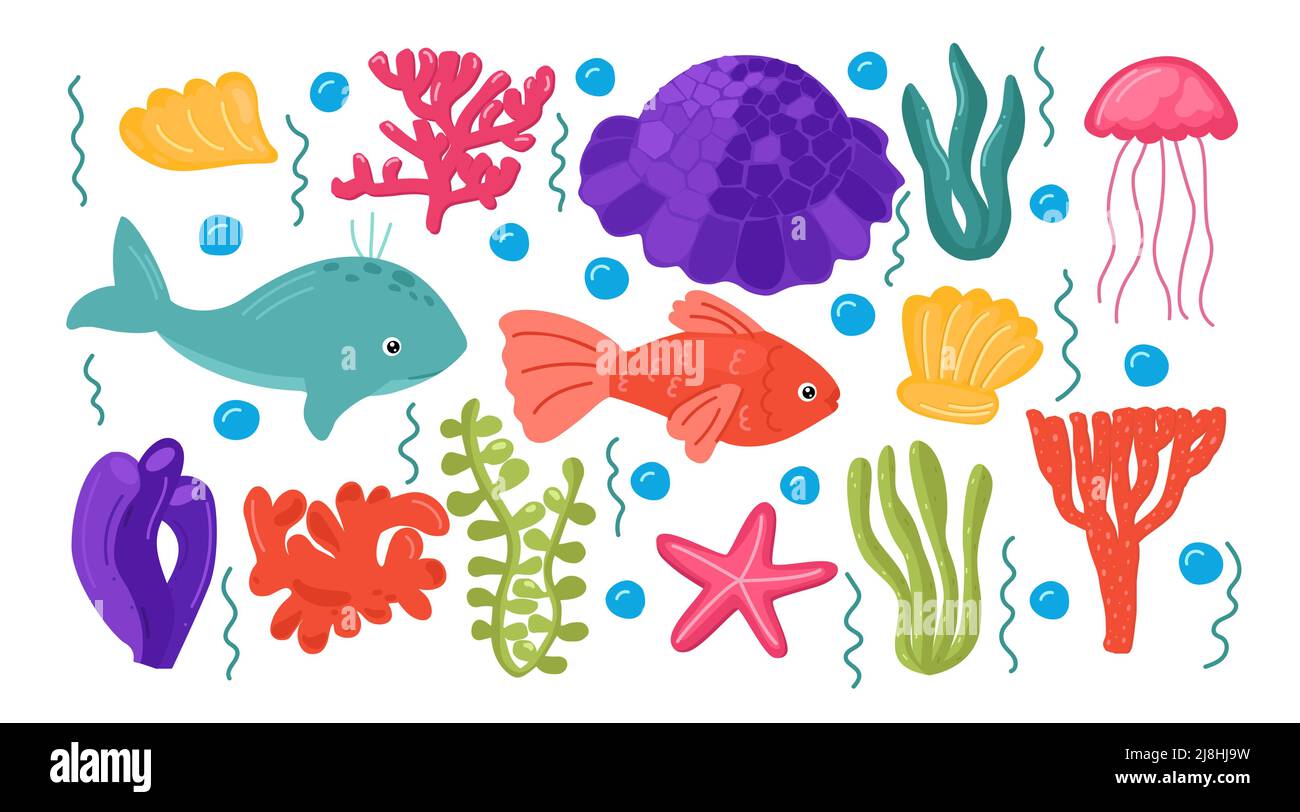 Vector illustration of seaweeds and sea animals. Underwater life set ...