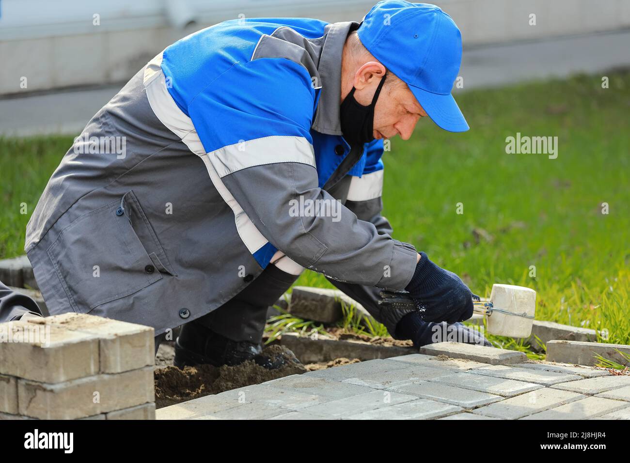 Bricklayer lays paving slabs outside. Working man performs landscaping ...