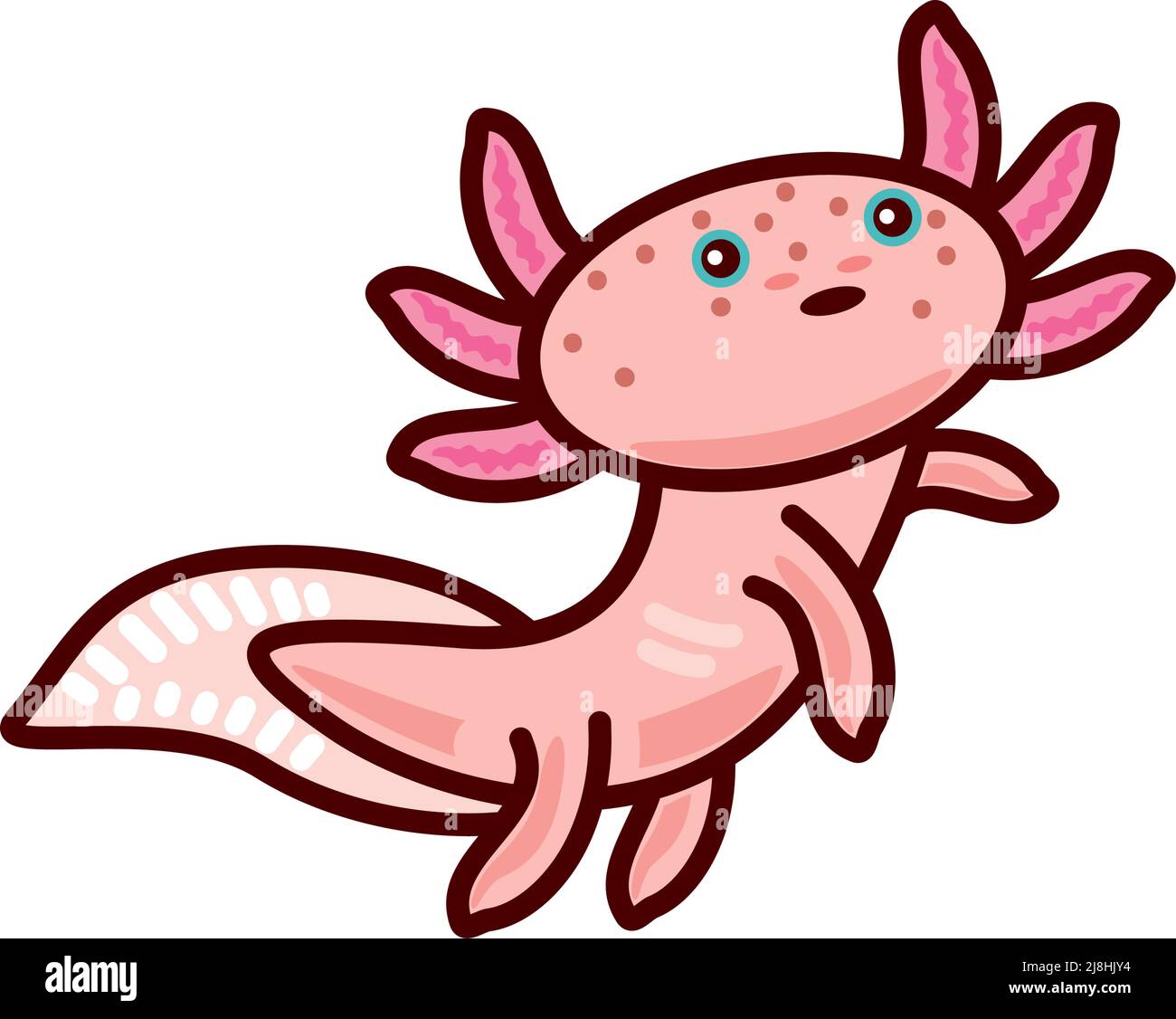 axolotl exotic animal Stock Vector Image & Art - Alamy