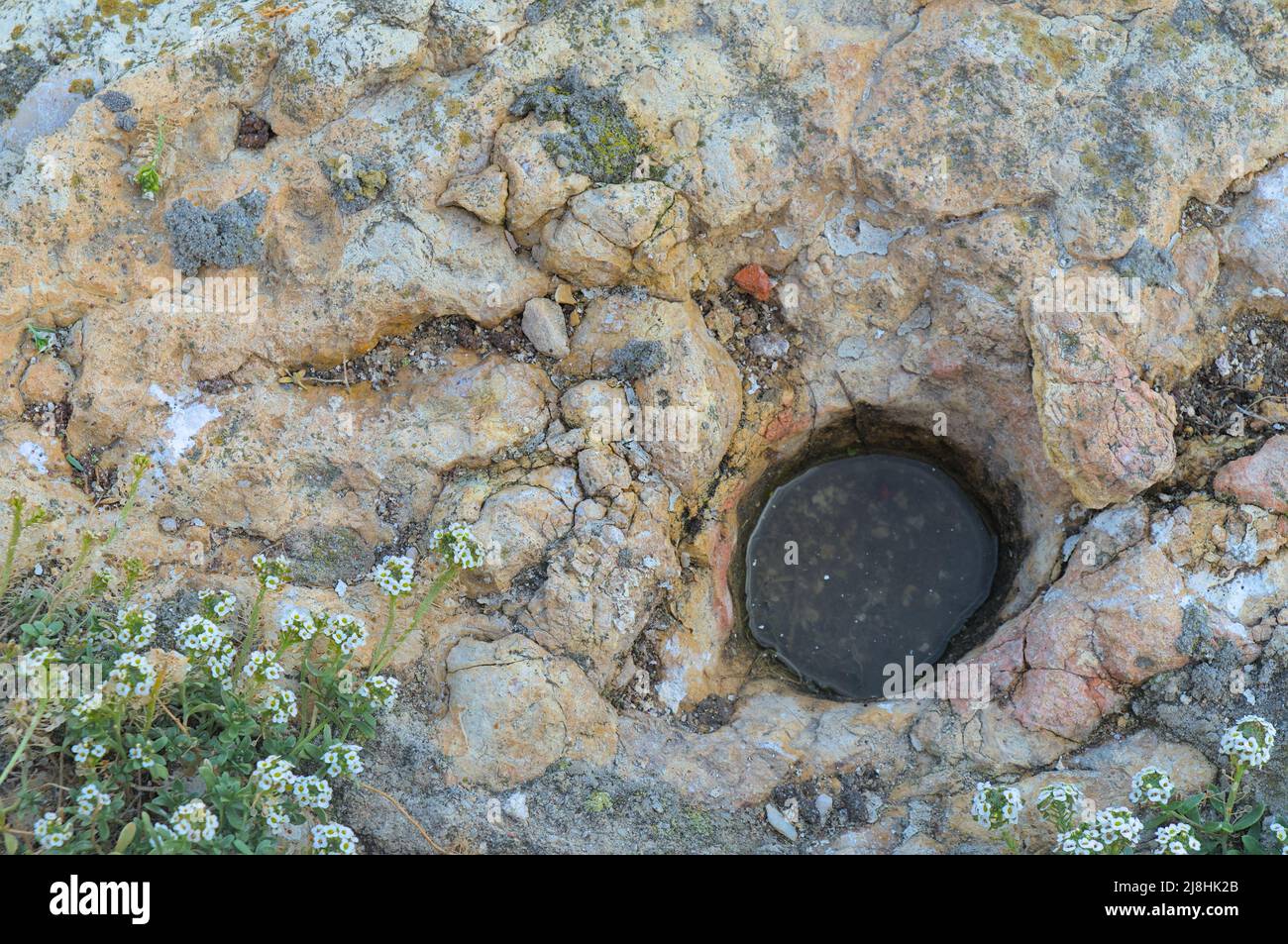Legendary horse footprint encrusted in rock from the famous legend of ...