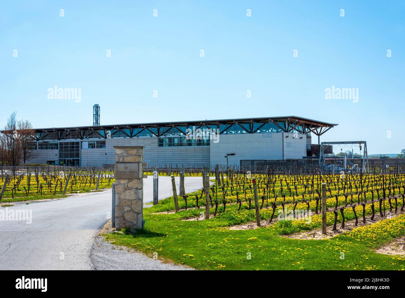 Jackson triggs niagara estate hi-res stock photography and images - Alamy