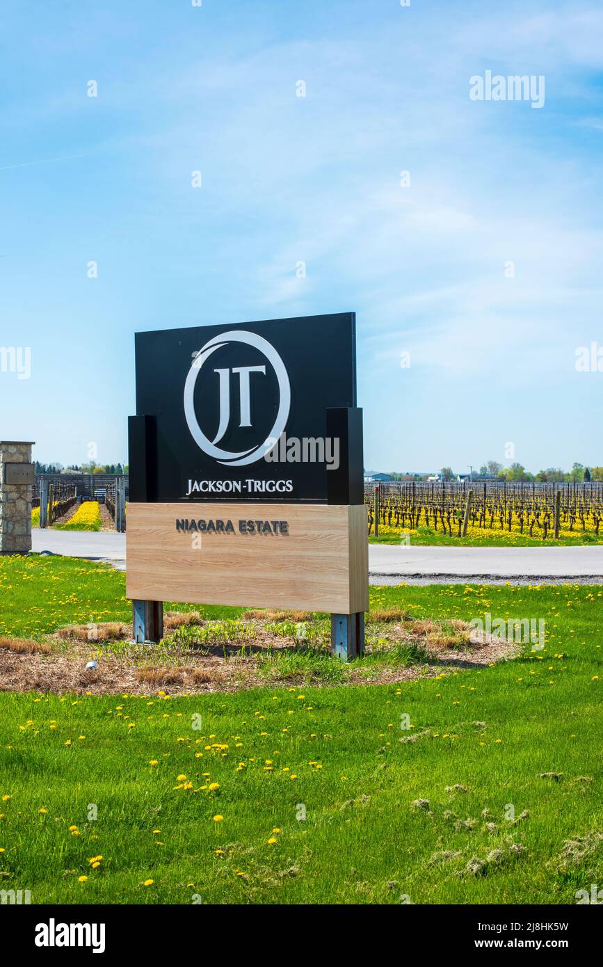 Jackson triggs winery hi-res stock photography and images - Alamy