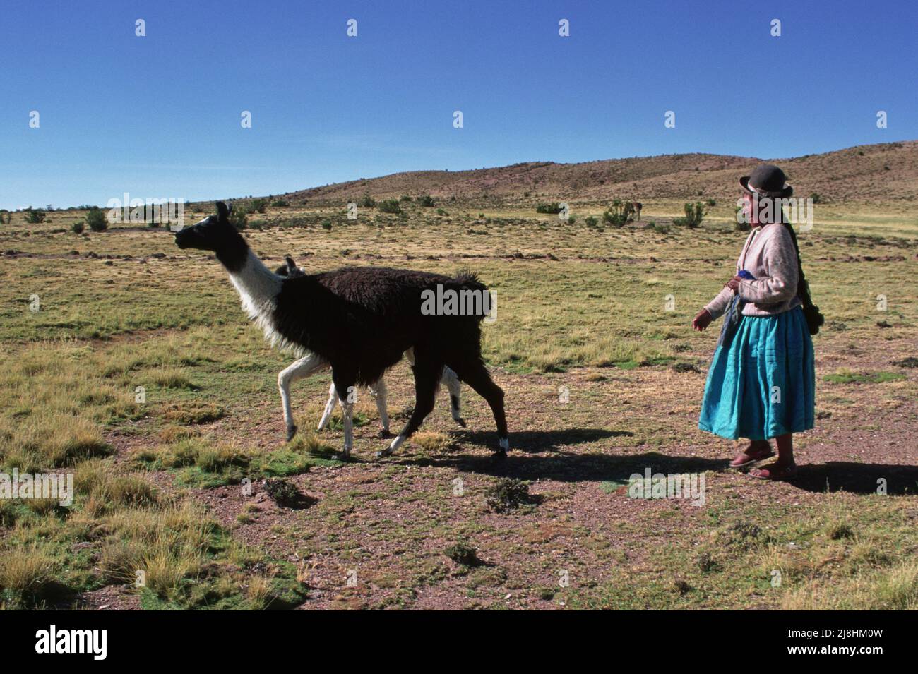 Altiplano aymara hi-res stock photography and images - Alamy