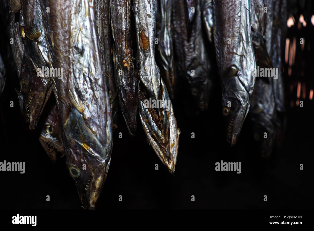 tasty dried and salted fish stock with hanging on farm for harvest and ...