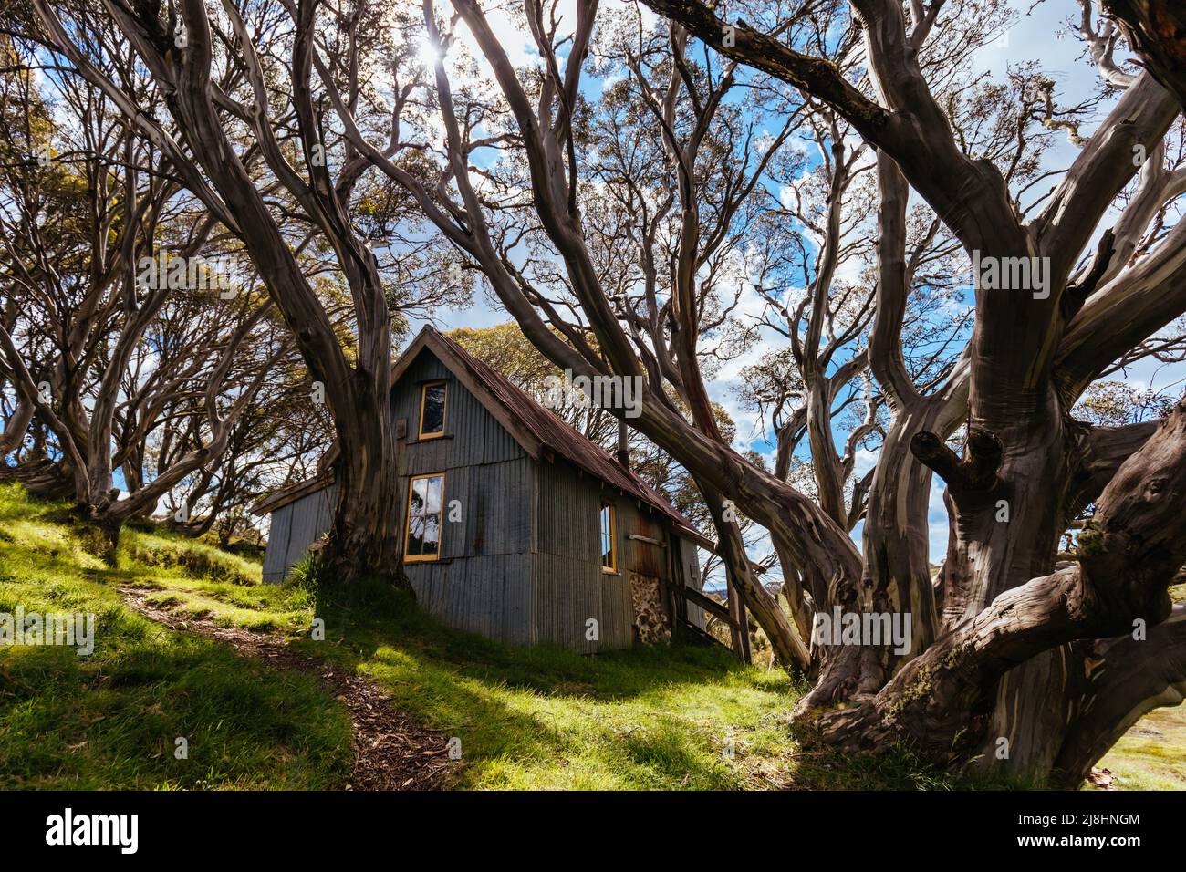 Cope Hut near Falls Creek in Australia Stock Photo - Alamy