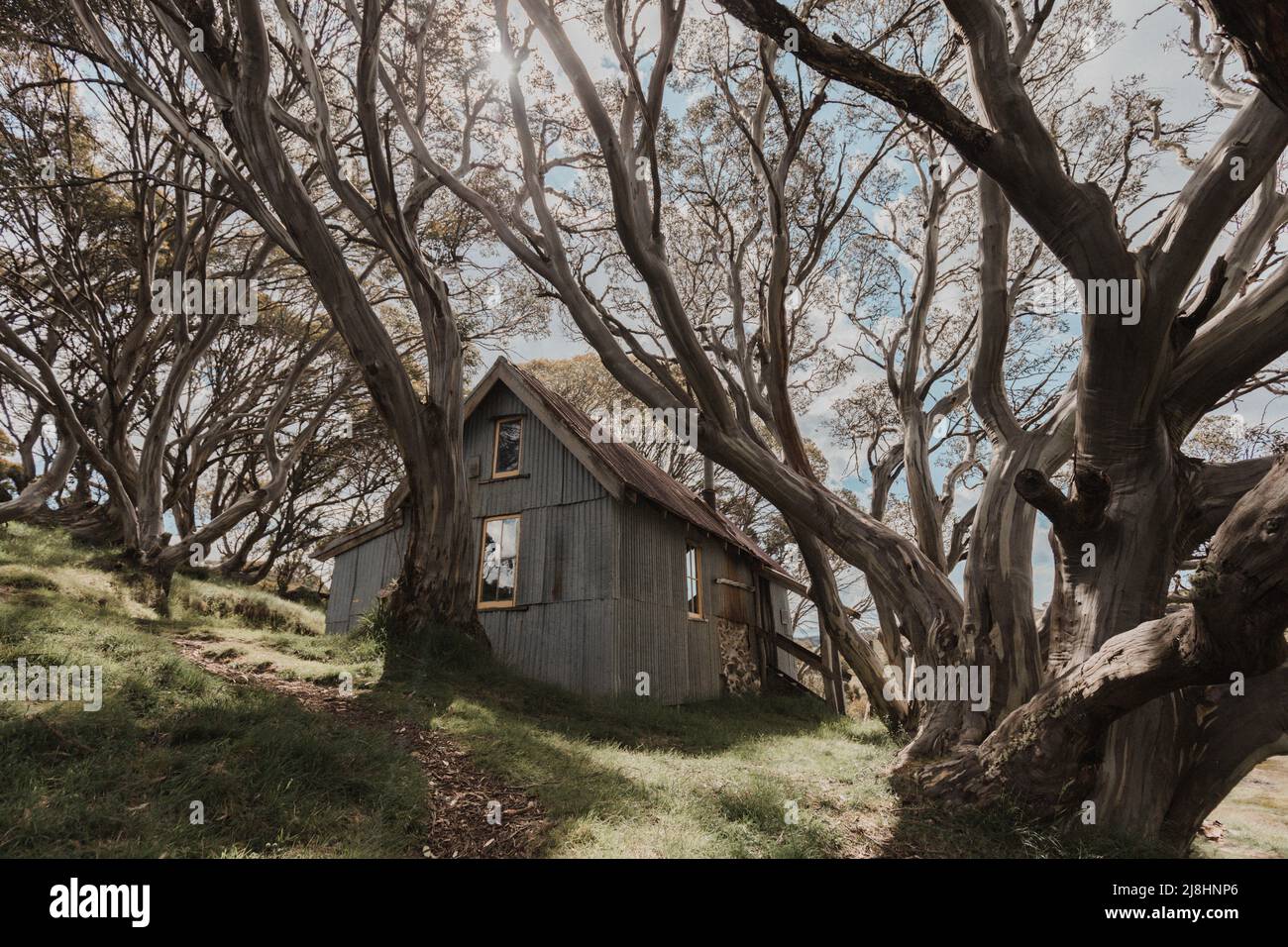 Cope Hut near Falls Creek in Australia Stock Photo - Alamy