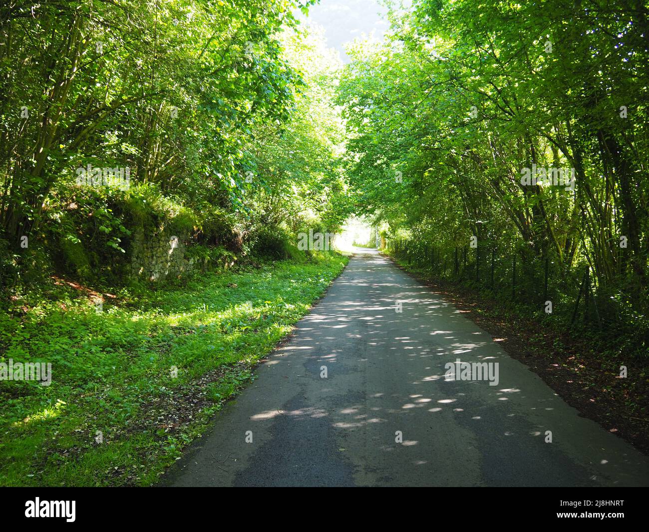 Bear route, Asturian greenway. Spain Stock Photo - Alamy