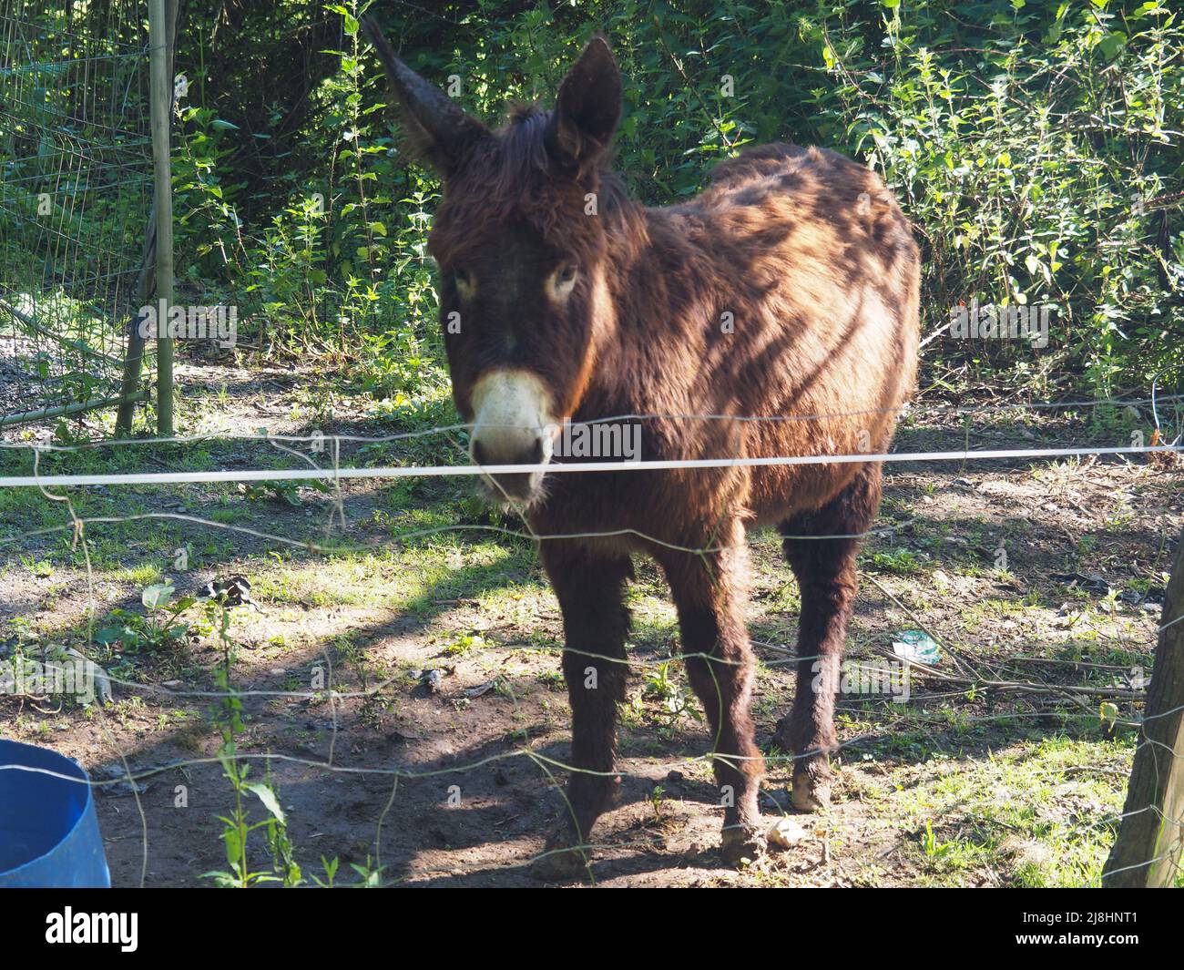 Bear route, Asturian greenway. Spain Stock Photo - Alamy