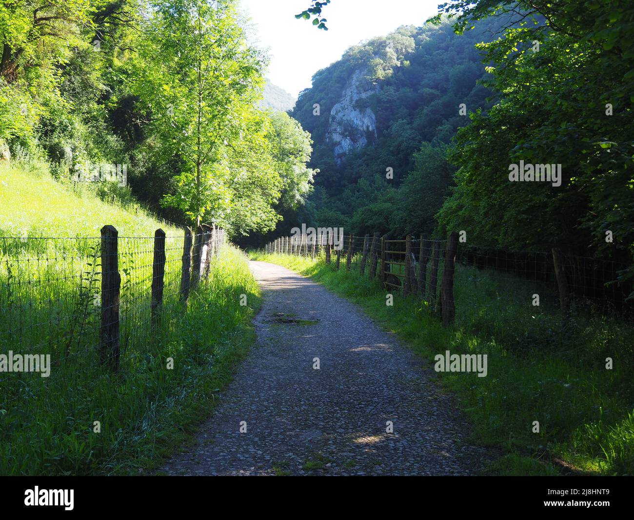 Bear route, Asturian greenway. Spain Stock Photo - Alamy