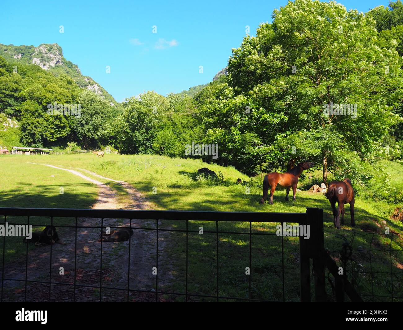 Bear route, Asturian greenway. Spain Stock Photo - Alamy