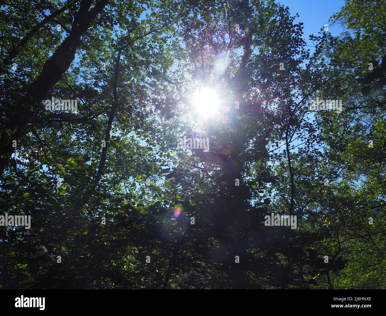 Bear route, Asturian greenway. Spain Stock Photo - Alamy