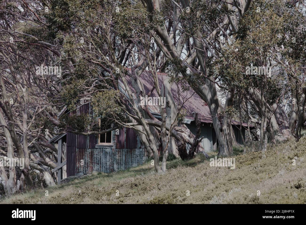Cope hut hi-res stock photography and images - Alamy