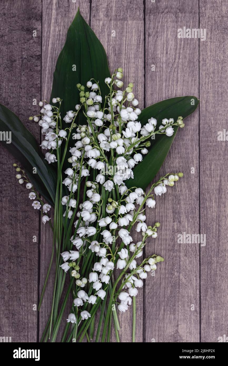 Delicate snow white romantic lilies of the valley on a wooden ...