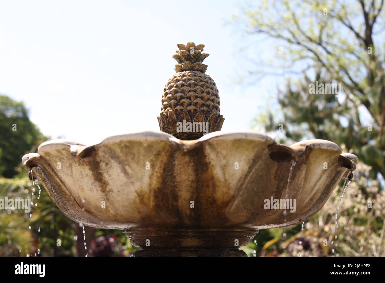 Stone Pineapple fruit sculpture fountain, water feature in the Exotic ...