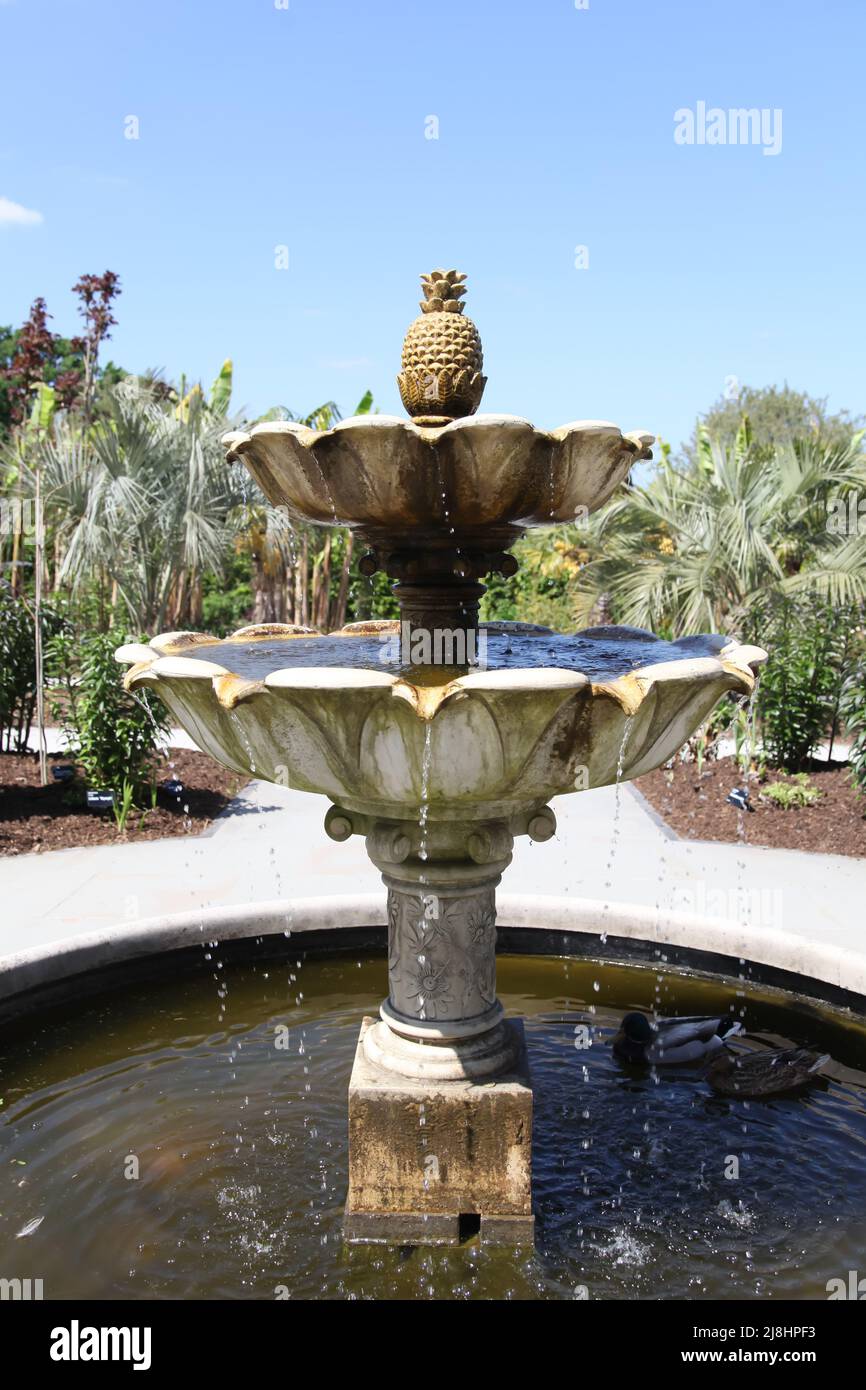 Stone Pineapple fruit sculpture fountain, water feature in the Exotic ...