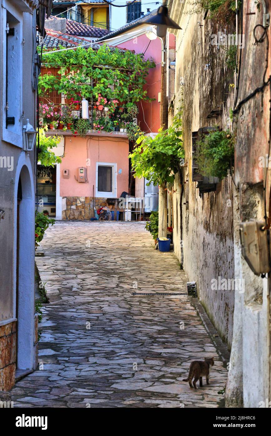 Greek village at the island of Corfu - Sinarades. Rural Greece Stock ...