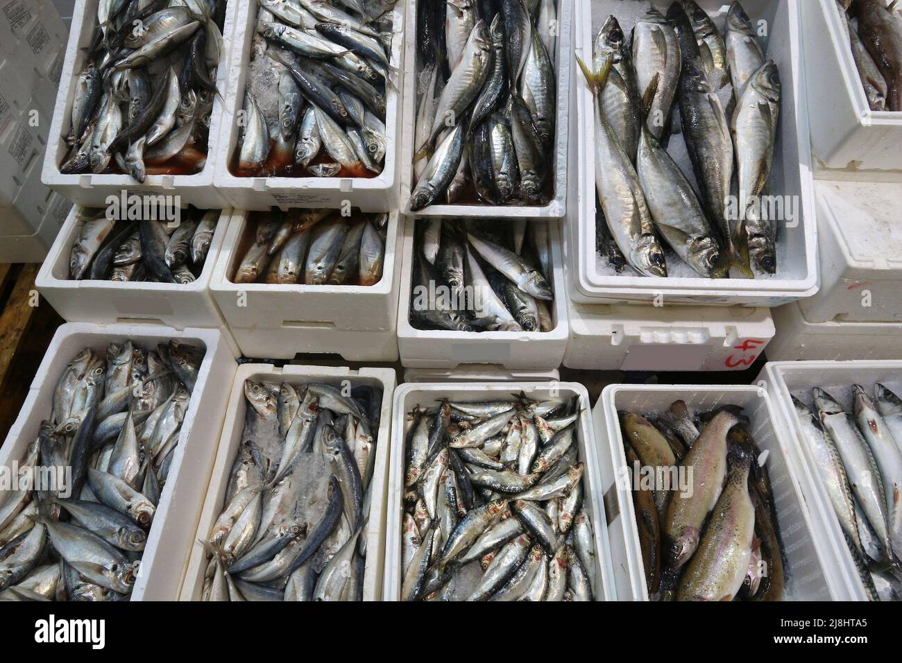 Billingsgate fish market interior hi-res stock photography and images ...