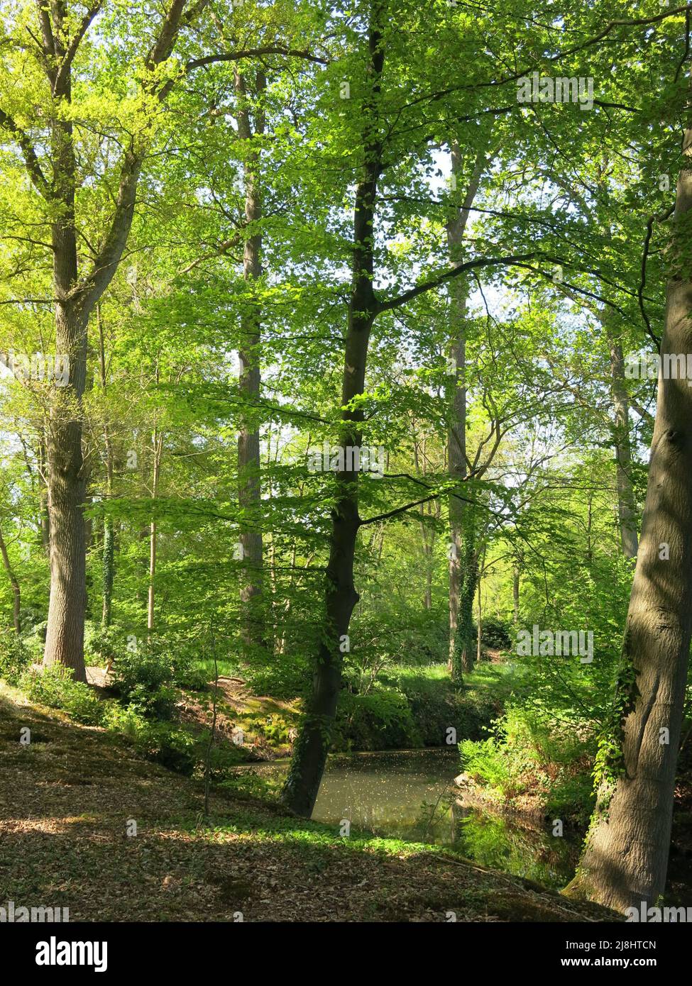 The Anglo-Dutch gardens of De Wiersse are characterised by landscaped ...