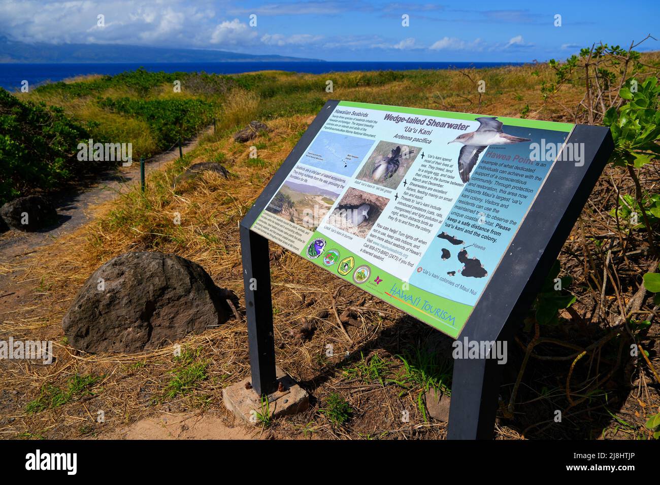 Tourist information board about Hawaiian seabirds in Hawea Point along ...