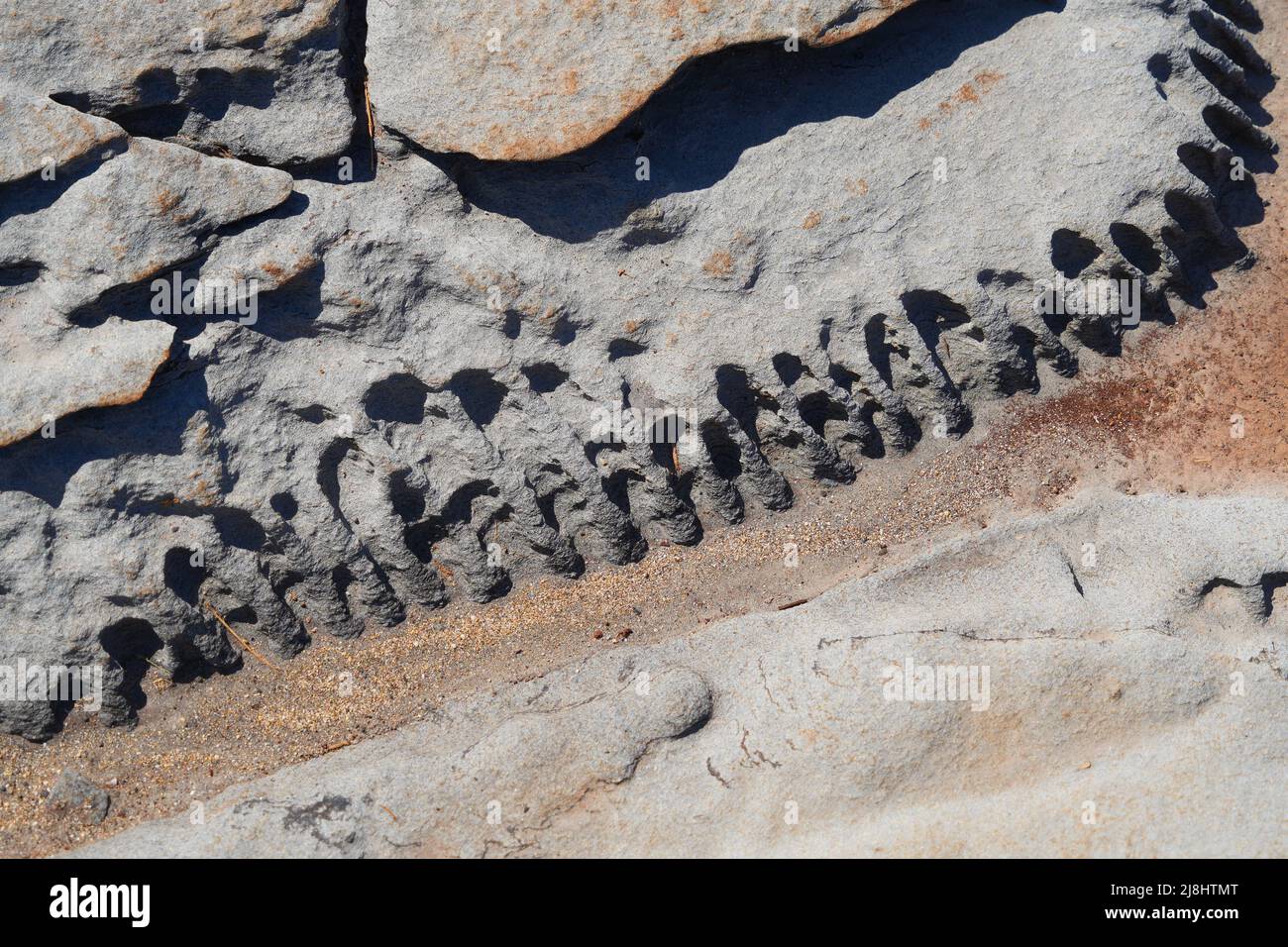 Dragon's Teeth sharp lava rocks on Makaluapuna Point in West Maui ...