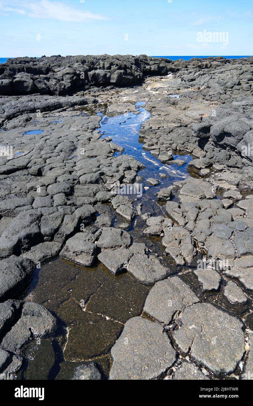Tide pools on columnar jointed volcanic lava rock in South Point Park ...