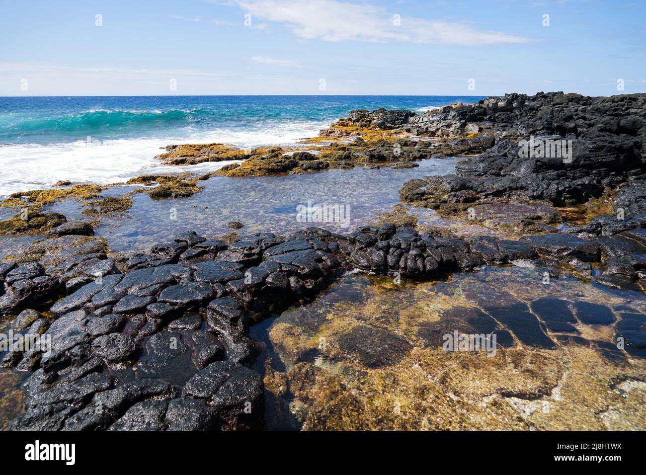 Tide pools on columnar jointed volcanic lava rock in South Point Park ...