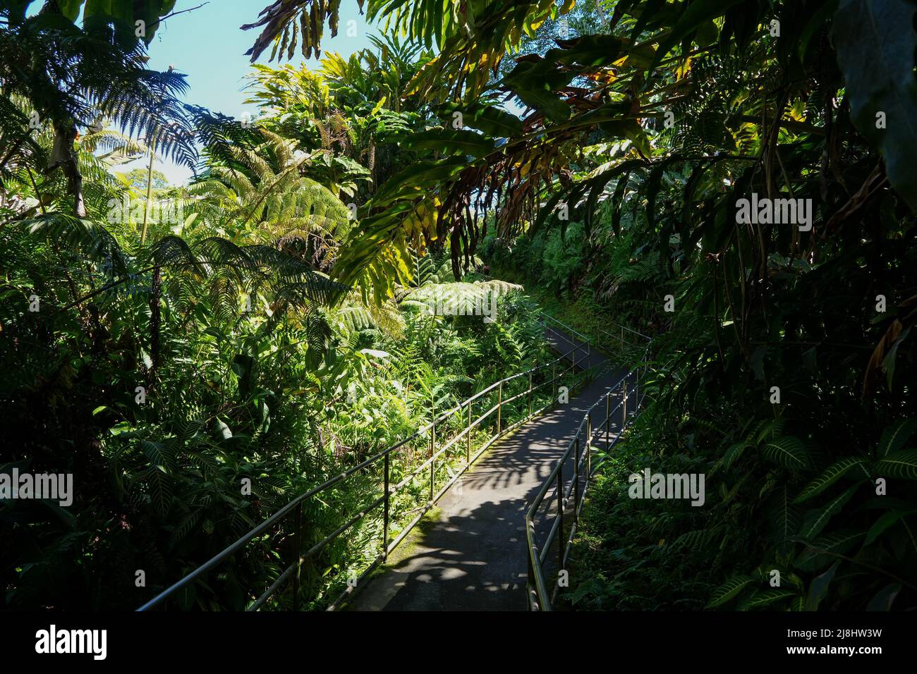 Pathway in the Akaka Falls State Park on the Big Island of Hawaii ...
